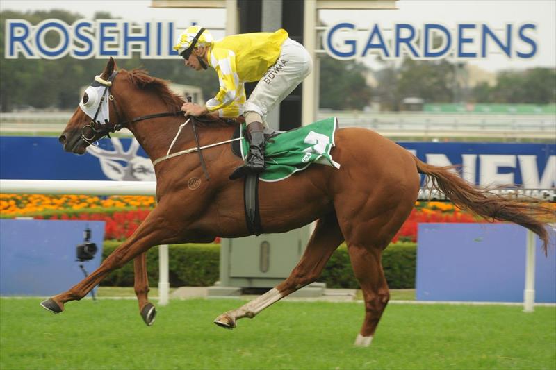 David Payne Racing - News