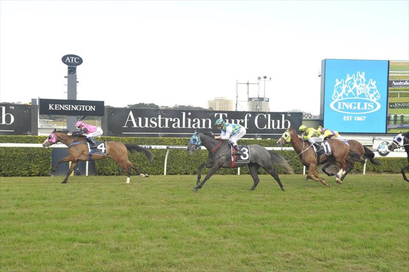 David Payne Racing - News