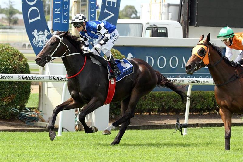 David Payne Racing - News