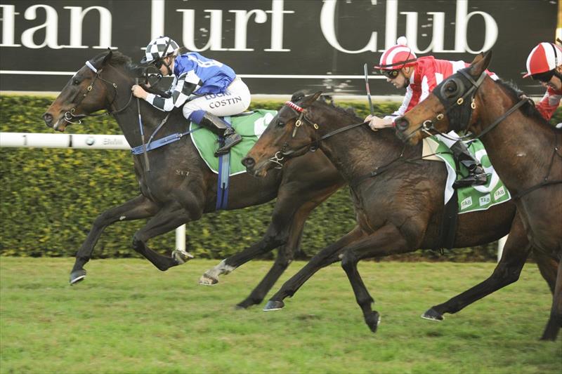 David Payne Racing - Photo Gallery