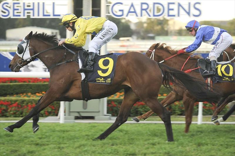 David Payne Racing - News