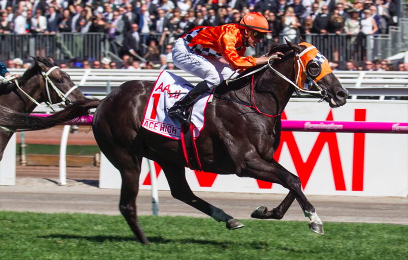 David Payne Racing - News